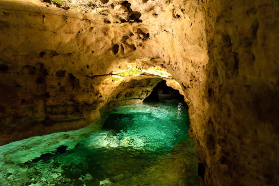 Tapolcai Tavasbarlang – Fedezd fel a föld alatti csodát